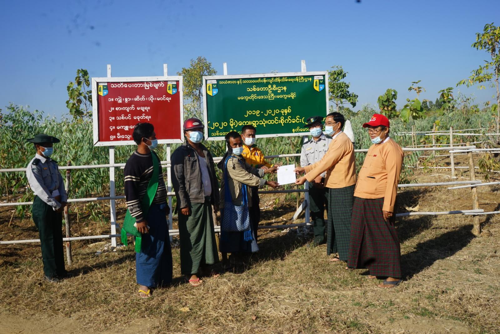နတ်မောက်မြို့နယ် သစ်တောဦးစီးဌာနမှ ထင်းစိုက်ခင်း ၂၀ ဧကအားအကျိုးပြုကျေးရ